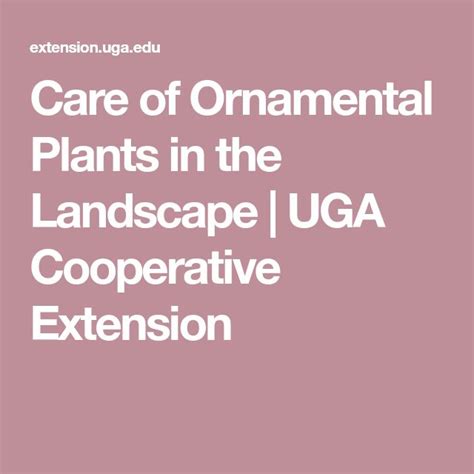 Care For Ornamental Plants In Your Landscape