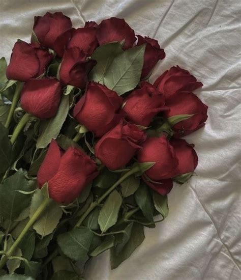 Pin On Heartless In 2024 Flower Therapy Beautiful Flowers Red Aesthetic