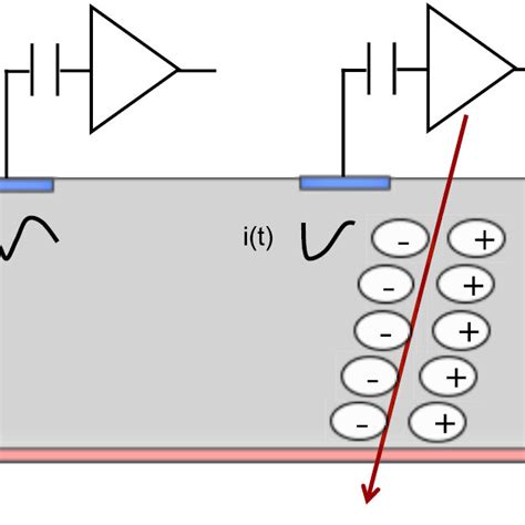 Basic Operational Principles Of A Silicon Detector An External Bias