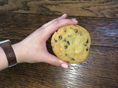 Chocolate Chip Cookies From Julien Dugourd Two Michelin Star Pastry