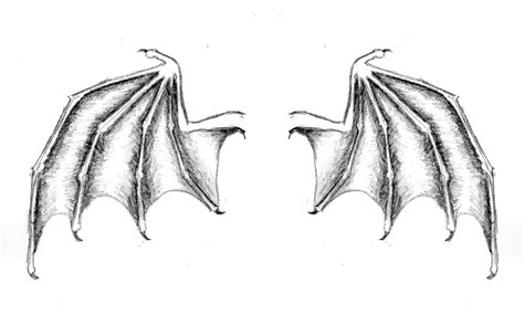 Drawings Of Bat Wings Drawing Tips Guide