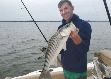 Chesapeake Bay Striped Bass Season 2024 Maryland Virginia And The