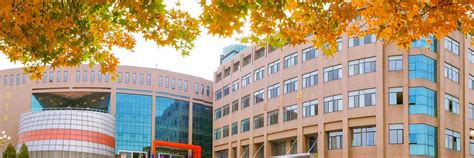 Phd In International Trade At Shandong University Of Finance And