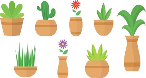 Flower Indoor Plant Flower In Interior Plants Plant Vector Flowerpot House Plant Garden