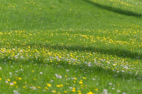 Running After Another God Dave Dishman