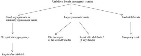 Umbilical Hernia In Newborn Pregnancy And Adults Symptoms And Treatment