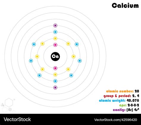 Infographic Of The Element Calcium Royalty Free Vector Image