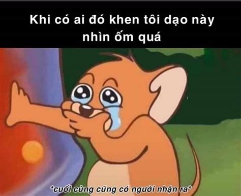 Tom Jerry Meme Si U Cute B Nh Ch H I H C Nh T