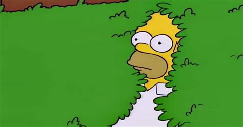 10 Tv Scenes That Became Iconic Memes