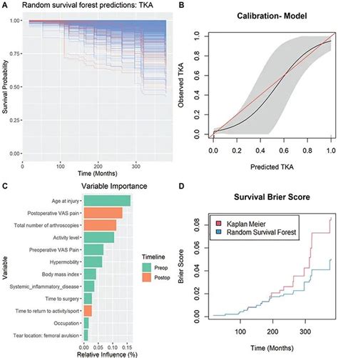 A Machine Learning Survival Algorithm Effectively Mapped The Natural Mohamed A Imam