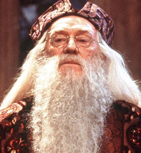 Heres Whos Playing Dumbledore In The New ‘harry Potter Tv Show