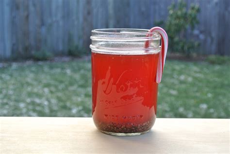 Boozed Infused Infusing Liqueurs At Home With Inspiring And Seasonal Ingredients