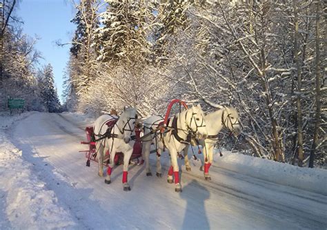 Troika Rides February 7