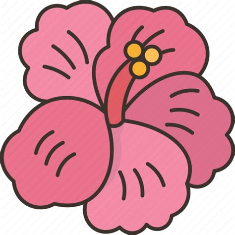 Chaba Flower Hibiscus Plant Tropical Icon Download On Iconfinder