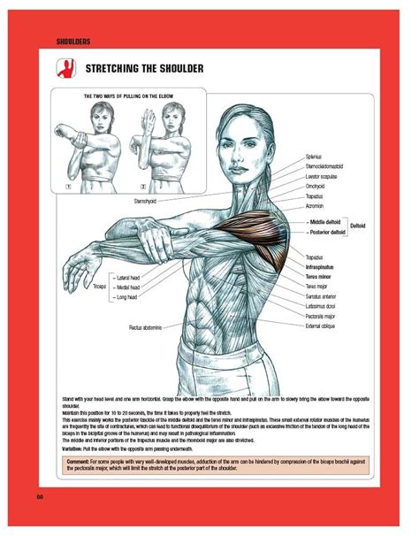 Strength Training Anatomy Frederic Delavier ️ Notodoanimaciones