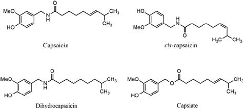 Chemicals Derived From C Annuum L Download Scientific Diagram