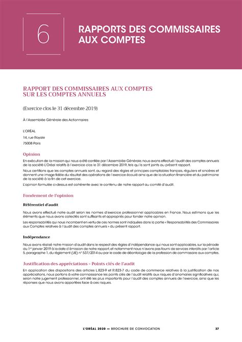 Rapport Des Commissaires Aux Comptes Sur Les Comptes Annuels