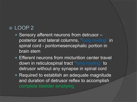 Bladder And Its Dysfunction Pptx Bladder And Its Dysfunction Pptx