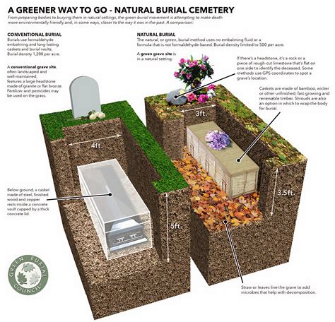Green Burial In Australia A Full Guide Mornington Green Legacy Gardens