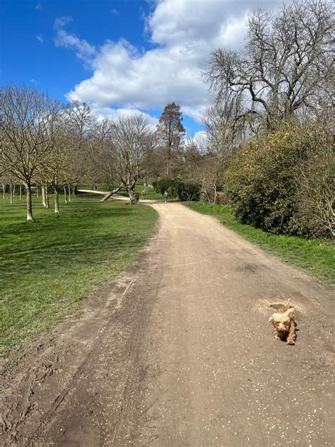 Izzy Doo Posted On Linkedin
