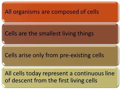 Biol 141 Test 2 Flashcards Quizlet