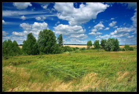 стелющаяся трава, ковыль