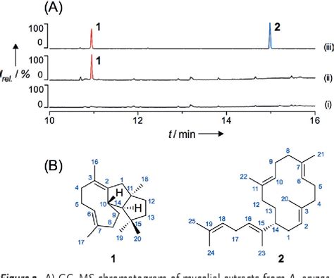 Figure 2 From An Unusual Chimeric Diterpene Synthase From Emericella