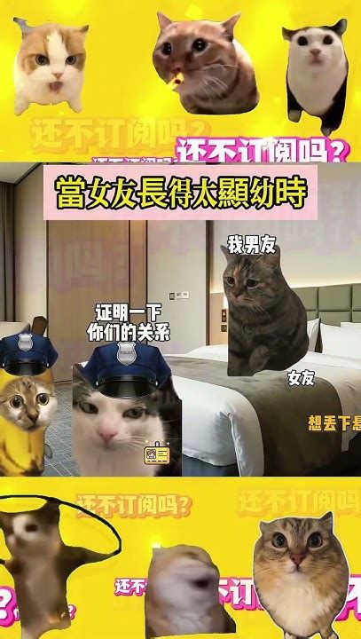 猫meme 猫meme小剧场 內容過於真實 貓meme 搞笑 猫meme Funny 迷恋 Cat 萌宠 猫meme小剧场 貓 Meme Cute Youtube