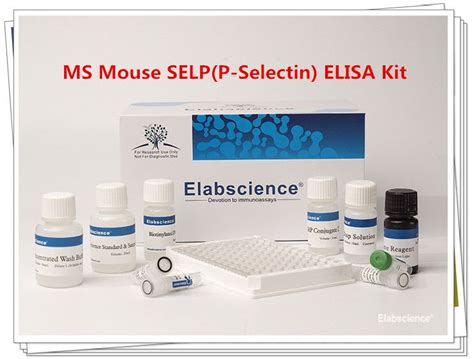 Isa Matos Posted On Linkedin