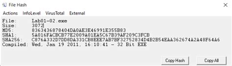 Write Up Practical Malware Analysis Part 1 Chapter 1 Lab 1 2