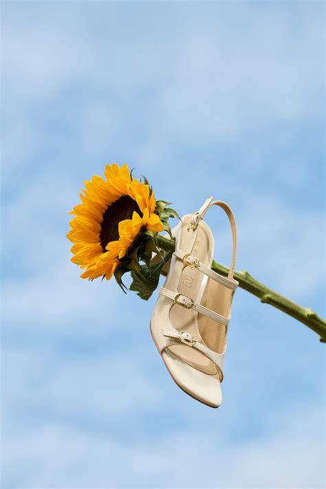 Nabel Official Store Indonesia