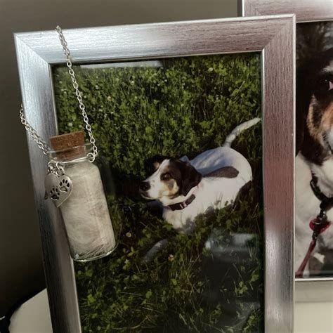 Pet Memorial Urn Glass Vial For Ashes Or Hair Pet Loss T Dog