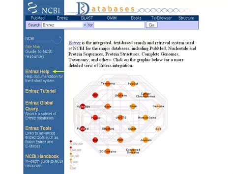 Data Retrieval Systems Pdf