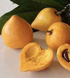 Eggfruit Aka Canistel A Fruit For National Egg Month The Nibble