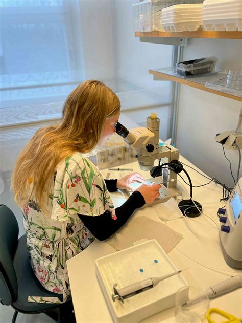 We Turned Off Moths Sex Signals This Could Be The