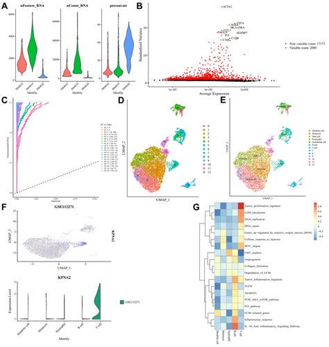 Analysis Of Single Cell Sequence Data From Multiregional Sample In Hcc Download Scientific
