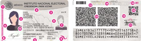 Nueva Credencial Del Ine 2026 ¿qué Cambia Y Cómo Tramitarla Luz