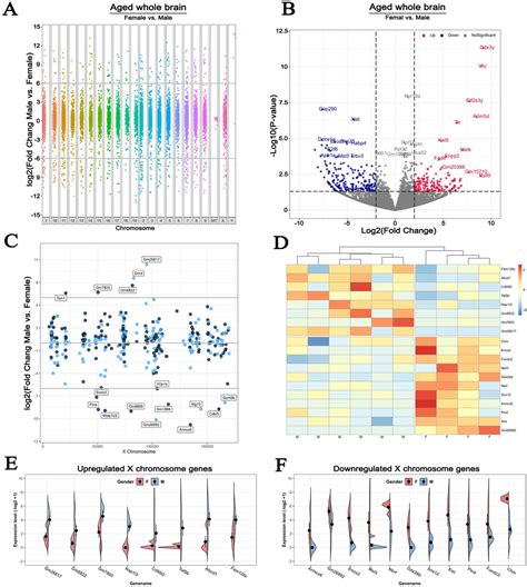 Frontiers Profiling X Chromosome Genes Expression Relevant To Sex