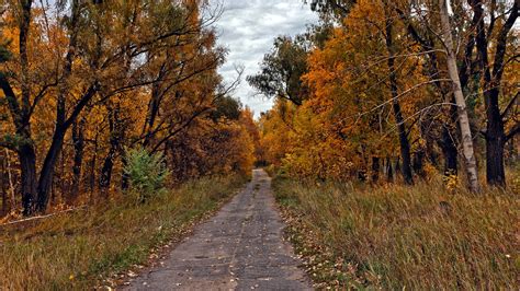 14147 Beautiful Scenes Of Nature Hd Wallpaper 1920x1200 Rare Gallery