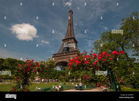 The Eiffel Tower Stock Photo Alamy