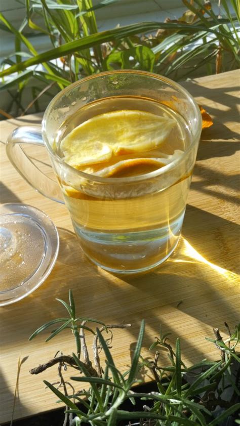 Immunity Boosting Orange Peel Tea My Plant Base Plate