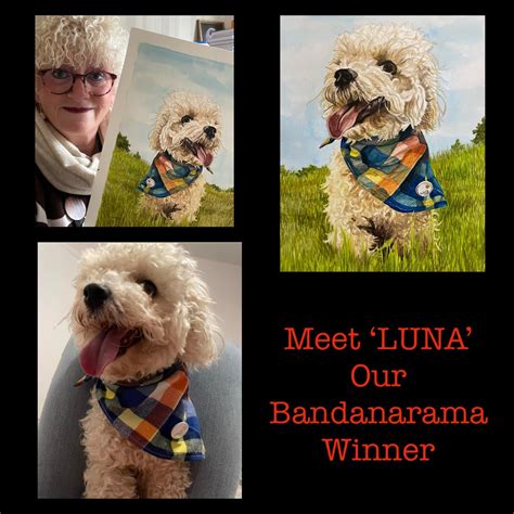 Rhona Morrison Artauthor