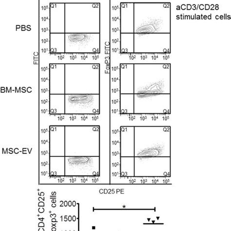 Msc Evs Increase The Proliferation Of Regulatory T Cells Upper Panels