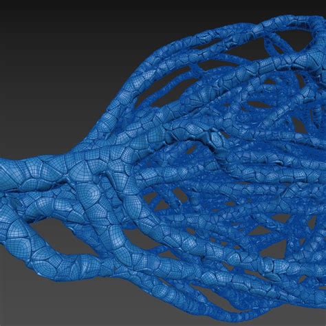 3d Blood Vessel Anatomy Capillary Turbosquid 2154018