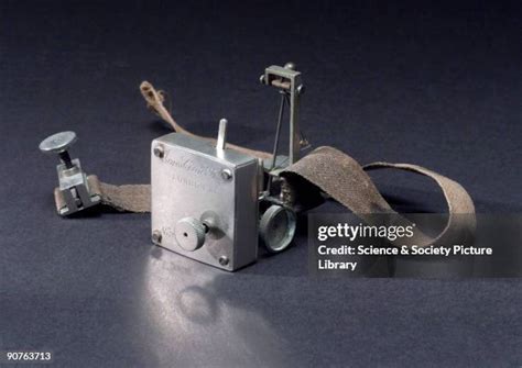 Coxeter Photos And Premium High Res Pictures Getty Images