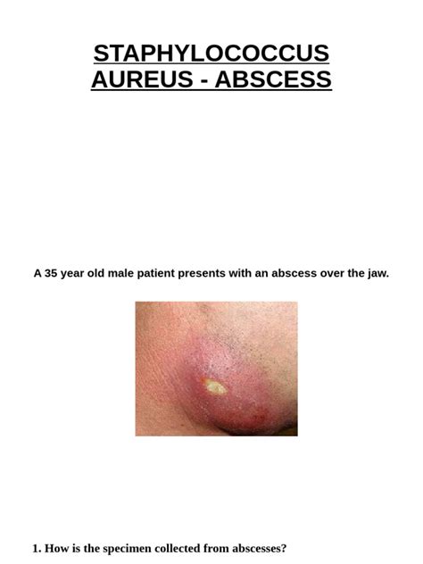 Staphylococcus Aureus Case Abscess Pdf