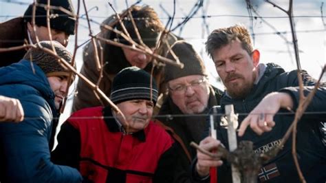 Cursuri De Tăiere Guyot Poussard Pentru Sănătatea Viţei De Vie