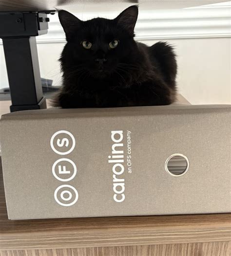 Ralfie Loves Ofs 😉 Dalton Luna