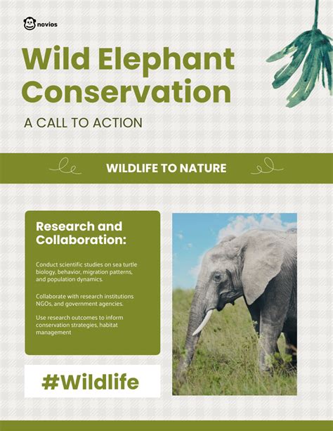 Natural Deer Conservation White Flyer