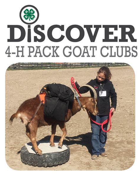 Discover 4 H Clubs Usu